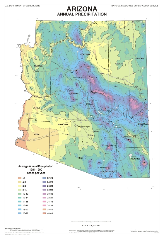 Arizona Rainfall Map
